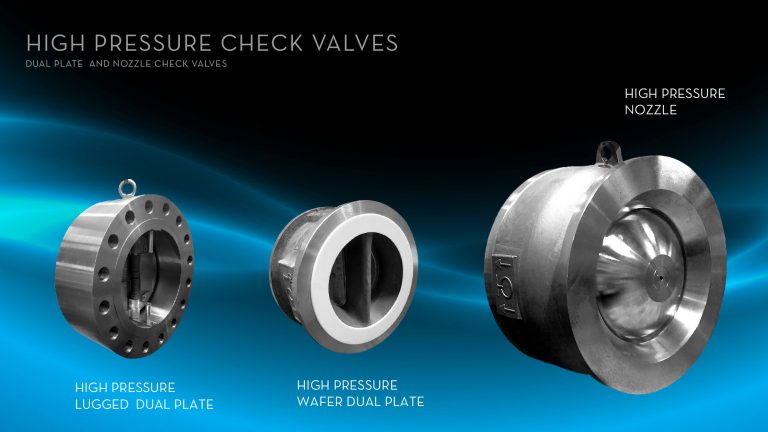 High Pressure Check Valves - CASTFLOW VALVES